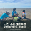 충남 서천 가볼만한곳 장항 송림 산림욕장 갯벌 맥문동 축제 네이버 블로그